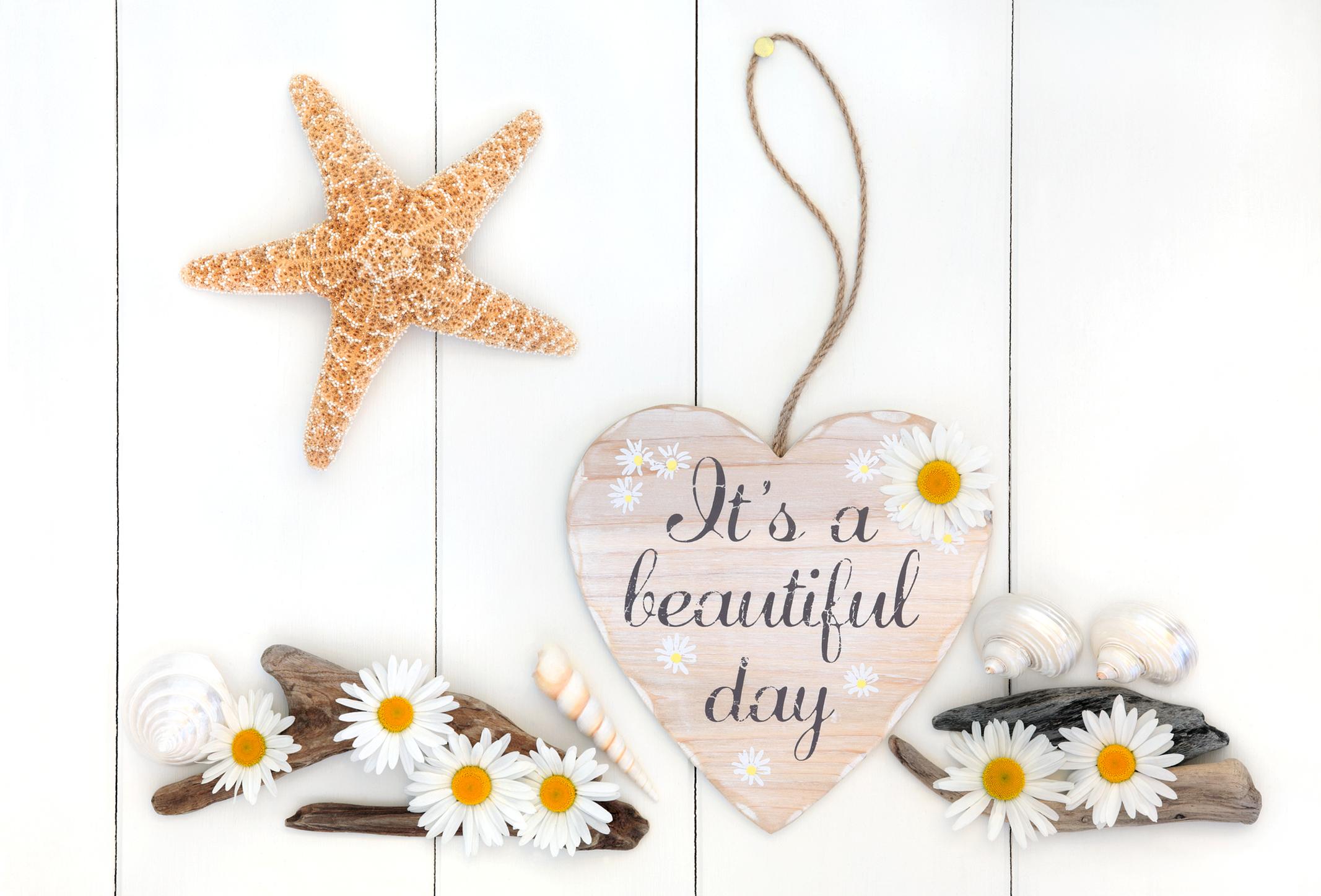 No.66 Cards & Gifts, Ryde, Isle of Wight – No.66 cards & gifts